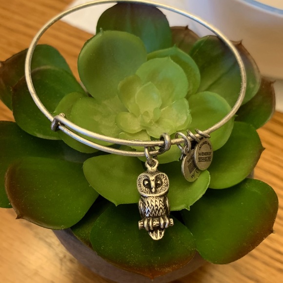 Alex and Ani | Jewelry | Alex And Ani Bracelet Owl | Poshmark
